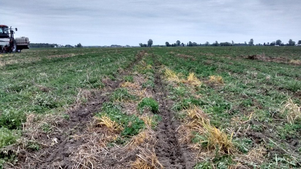5 étapes pour réussir la transition vers le semis direct et les ...