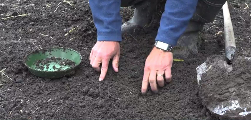 Construire un piège pour les vers fil de fer – Le Bulletin des agriculteurs