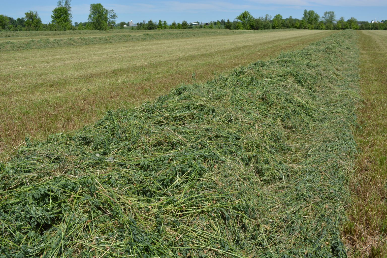 10 stratégies pour des systèmes fourragers adaptés aux changements ...