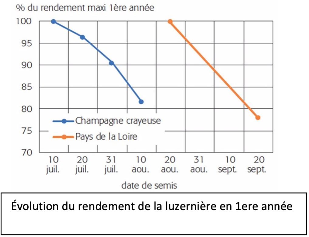 Conseil d'implantation de la luzerne pour une production optimale - Le ...